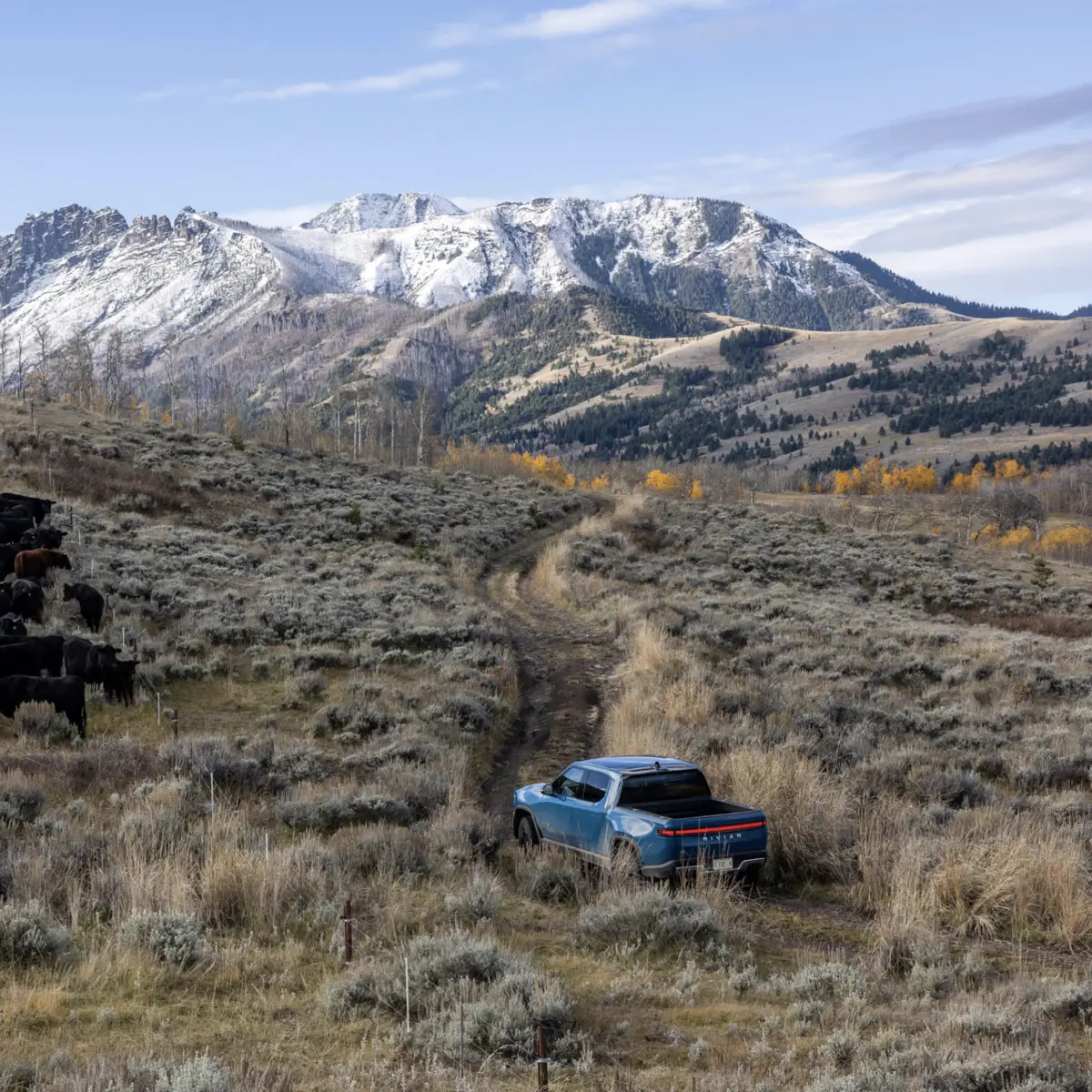 Rivian: Innovation und nachhaltige Outdoor-Mobilität